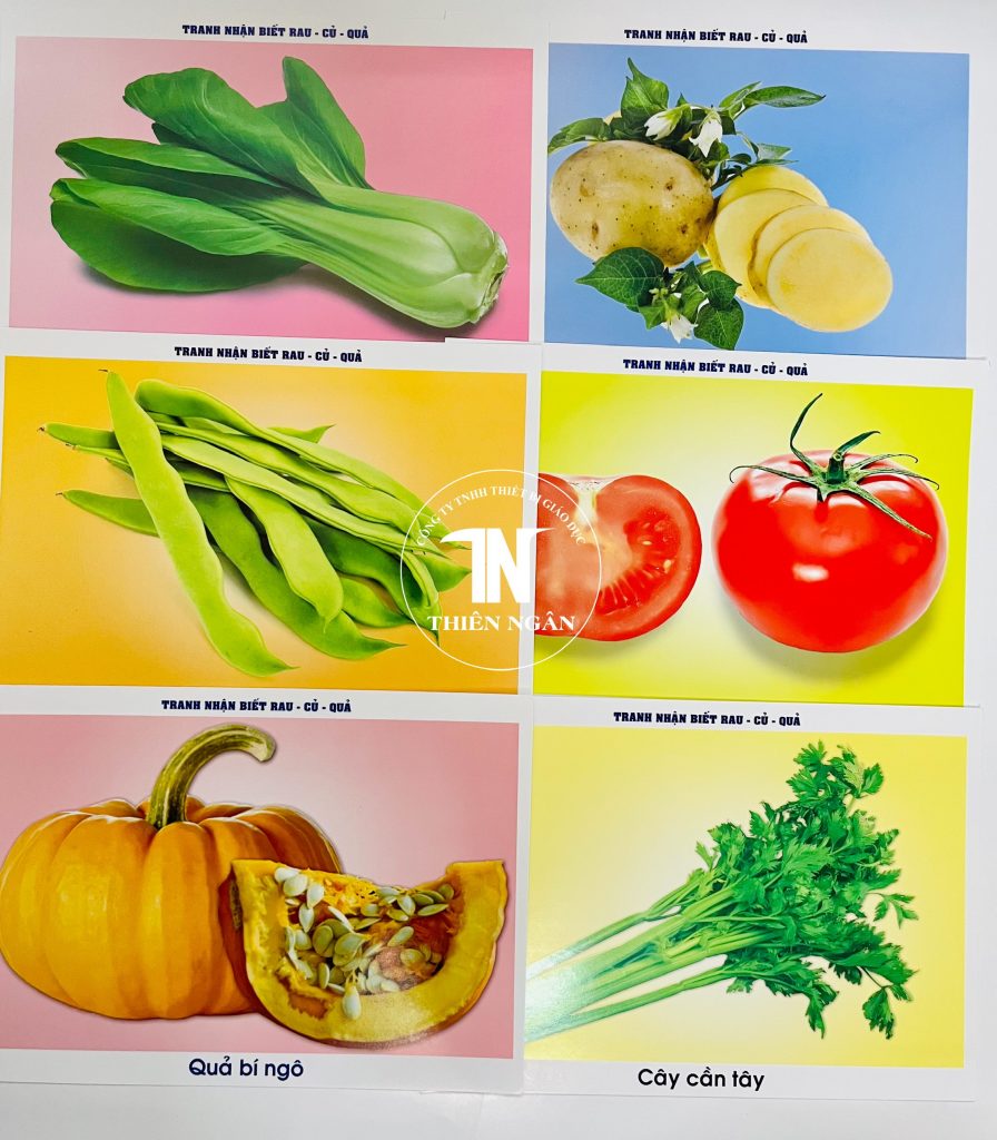 MN232054 Tranh về các loại rau củ quả - Thiết Bị Giáo Dục Thiên Ngân